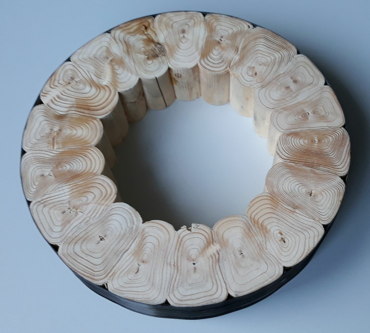 Woodtrusion – Thin woods to CFRP reinforced high-quality structural ...