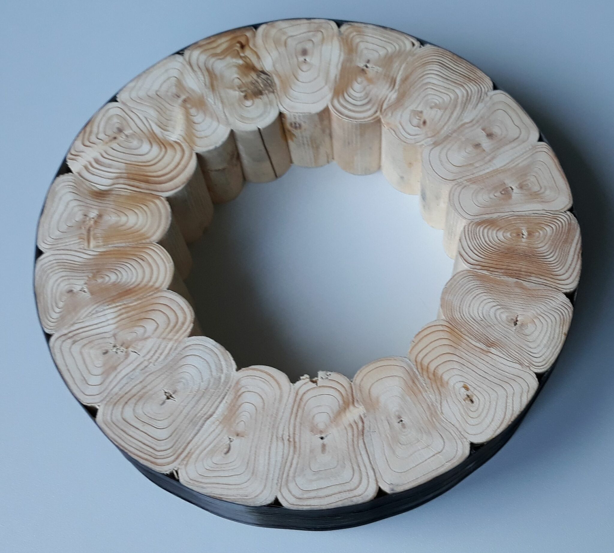 Woodtrusion – Thin woods to CFRP reinforced high-quality structural ...